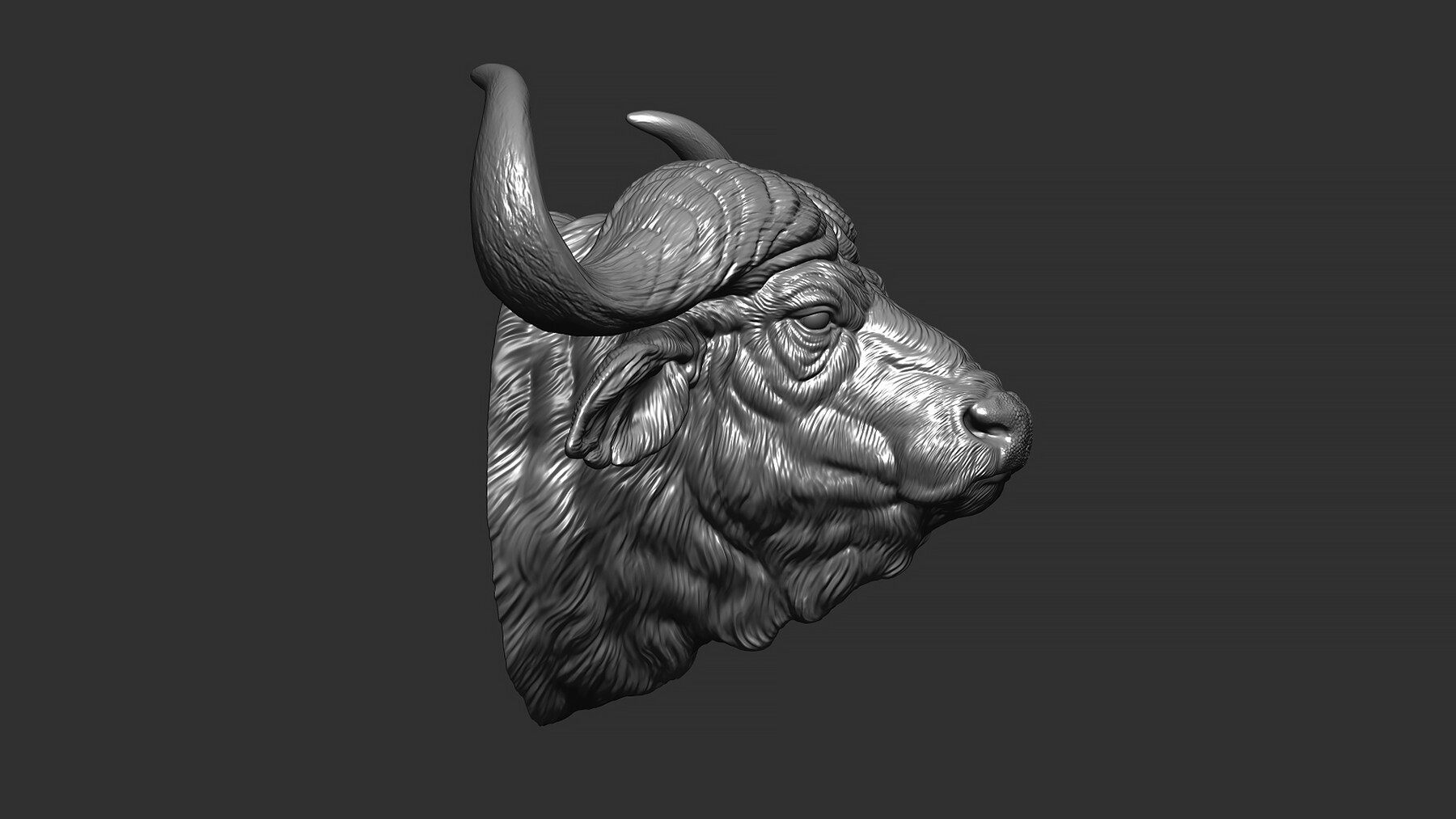 ArtStation - Buffalo shaggy head | Resources