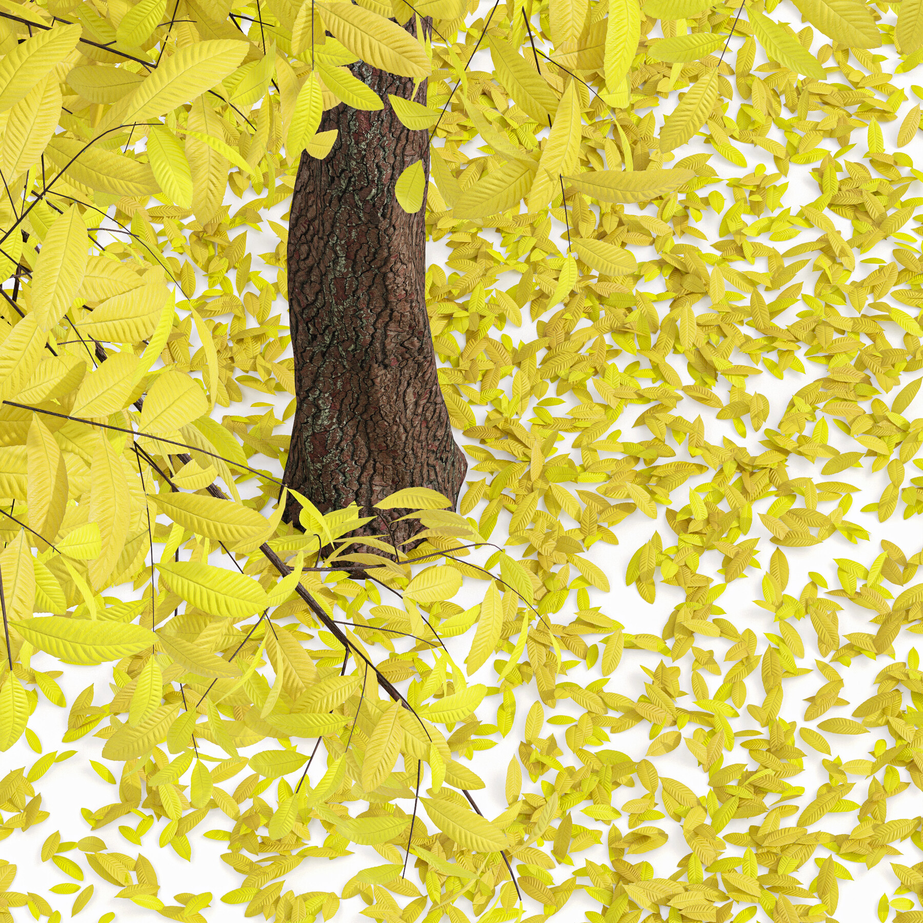 ArtStation - New Plant Real Tree Ulmus changii Summer Quercus Serrata ...