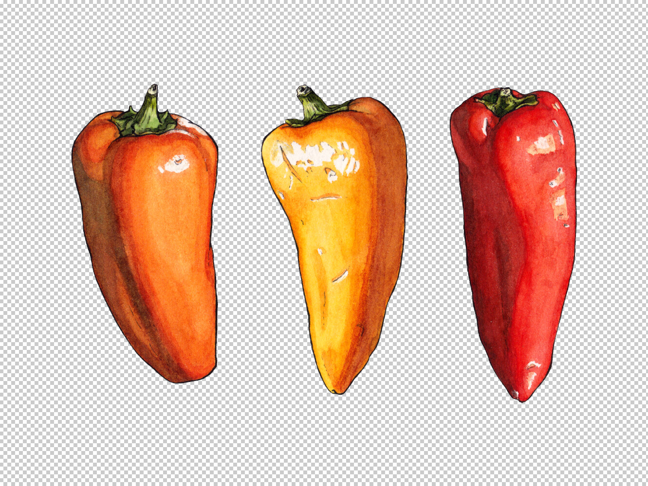 ArtStation - Sweet Peppers Illustration PNG (Real Watercolor) | Artworks