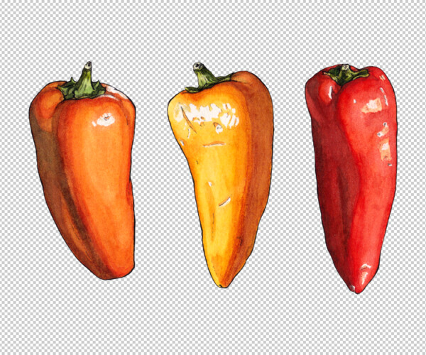 ArtStation - Sweet Peppers Illustration PNG (Real Watercolor) | Artworks