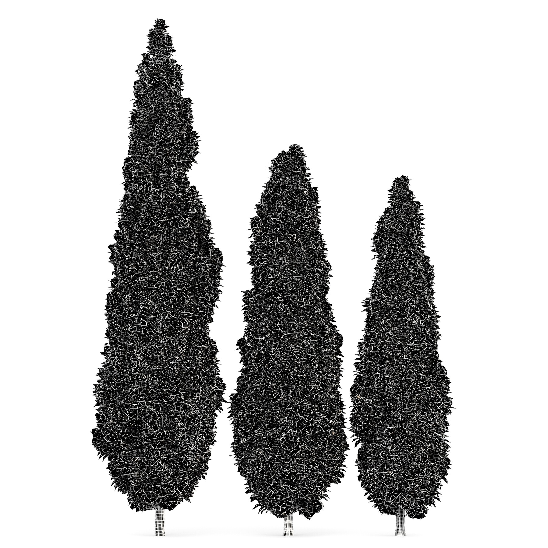 ArtStation - New Plant Mediterranean Italian Cypress Tree | Resources