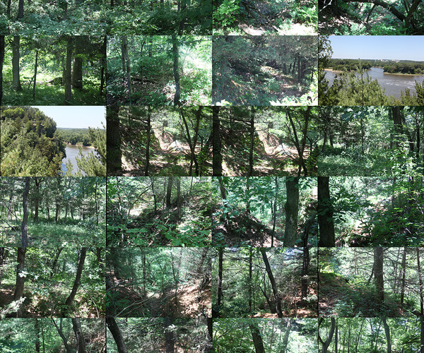 ArtStation - MIDWEST FOREST NATURE PACK | Resources