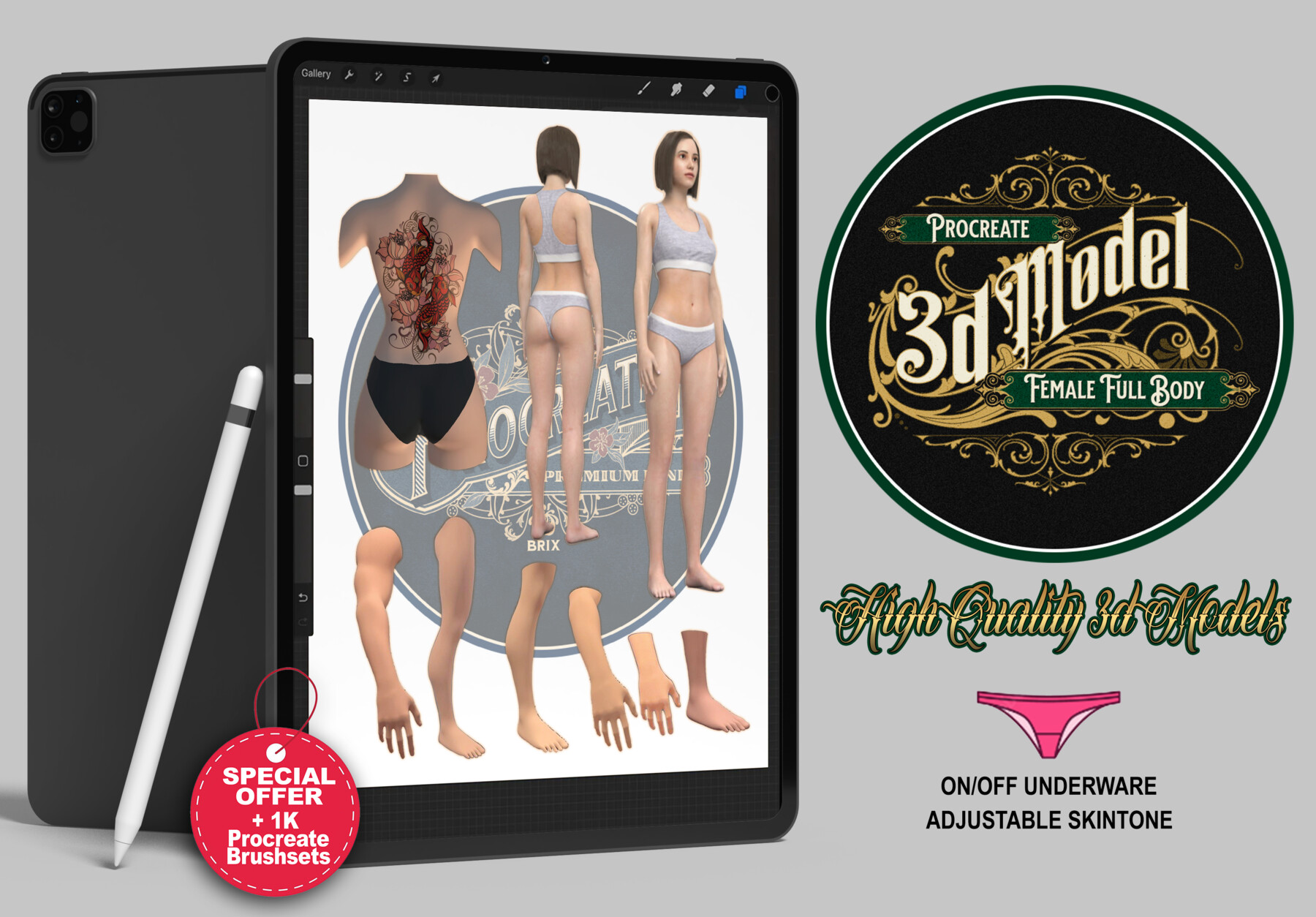 ArtStation - Procreate 3d Model Pack - Full Body Female |+1K Premium Procreate Brushsets ...