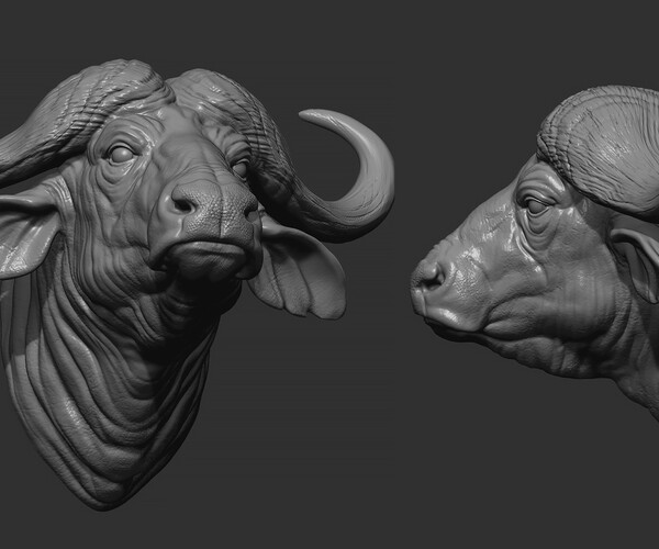 ArtStation - Buffalo head | Resources