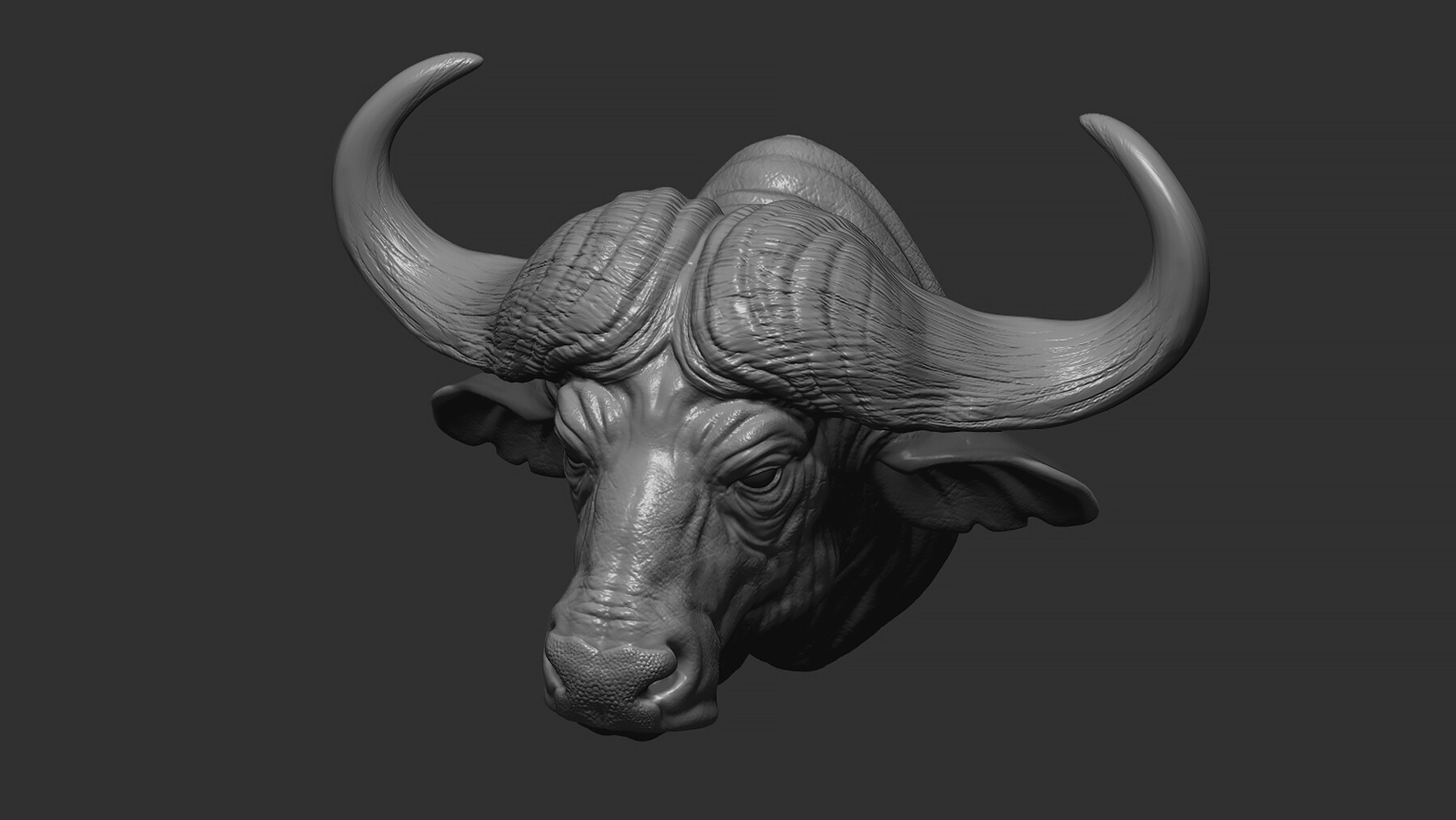 ArtStation - Buffalo head | Resources
