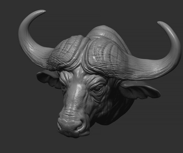 ArtStation - Buffalo head | Resources