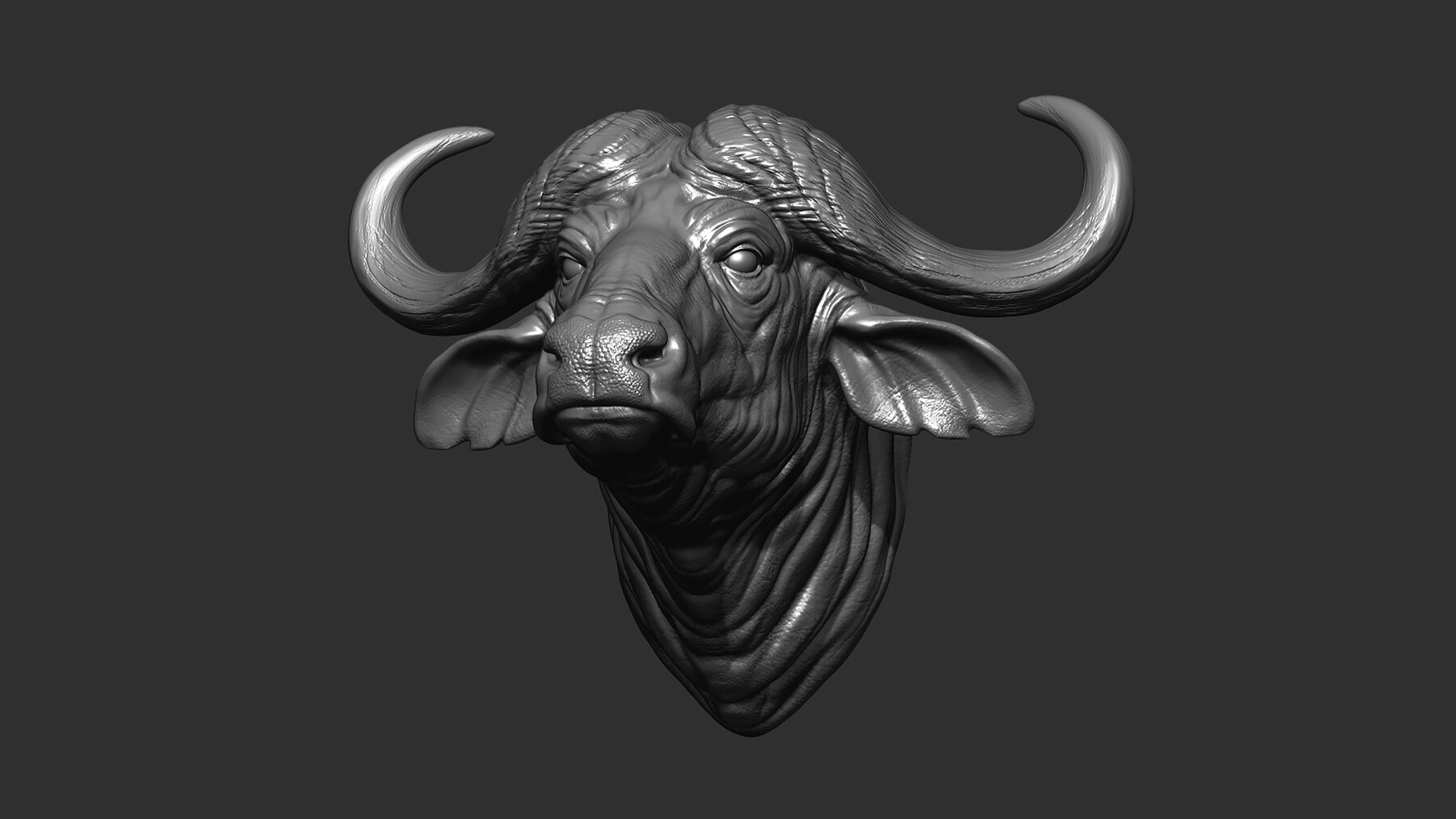 ArtStation - Buffalo head | Resources