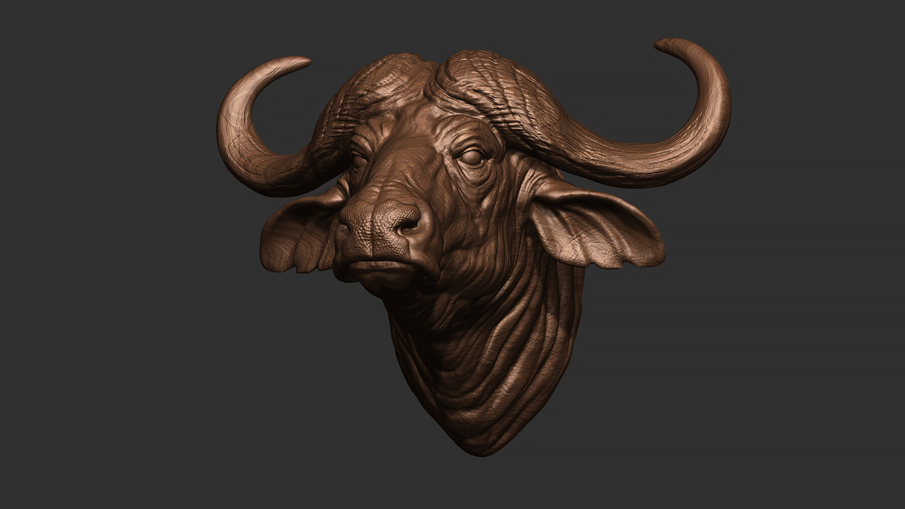 ArtStation - Buffalo head | Resources