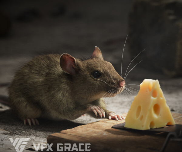 ArtStation - Rat(Mouse) Animated | VFX Grace | Game Assets