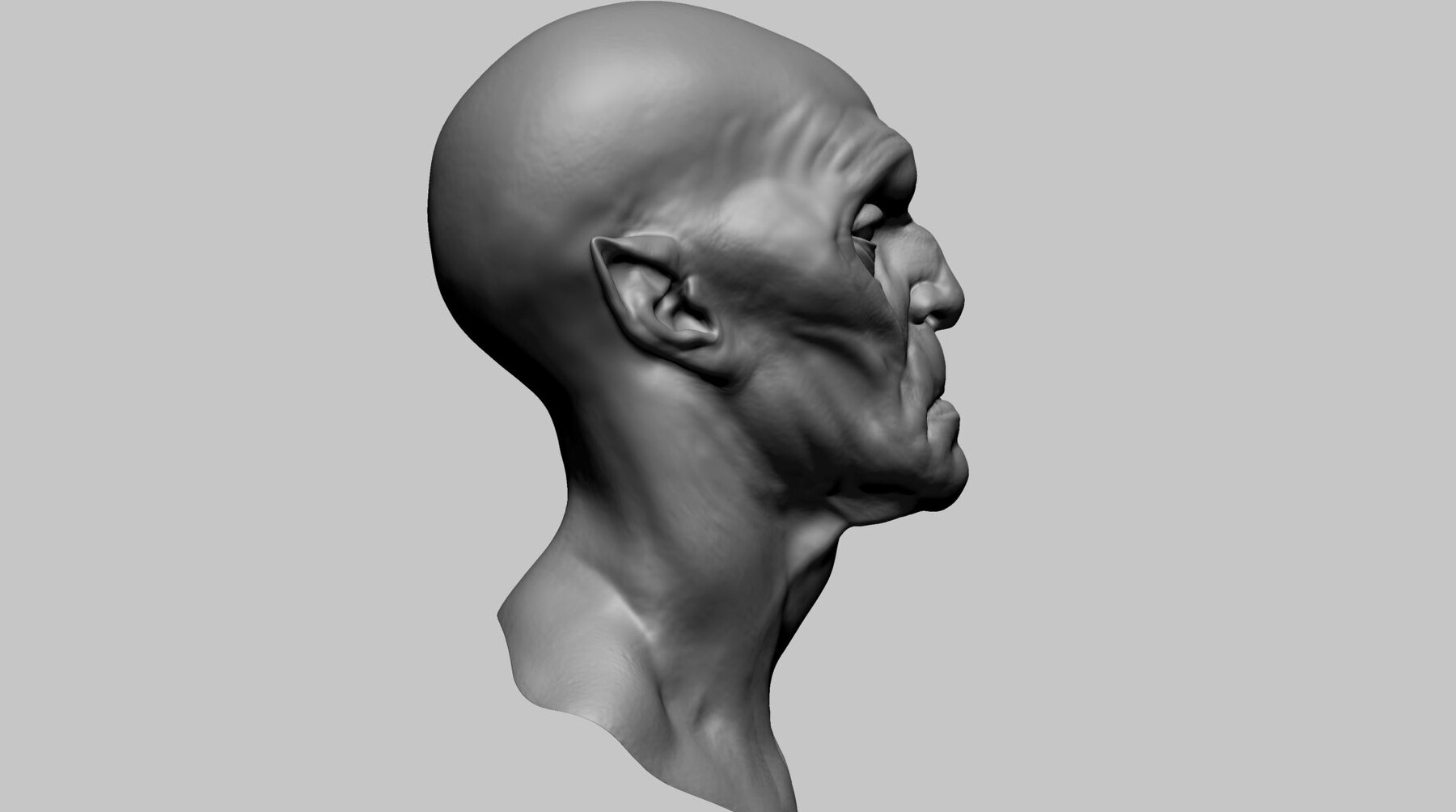 ArtStation - Creature Head D1 | Resources