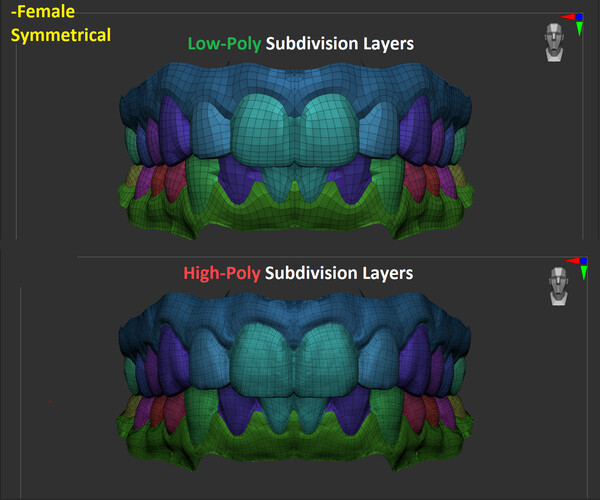 ArtStation - Dentist-Grade Human Teeth Scans - (Young-Adult Male & Female) | Resources