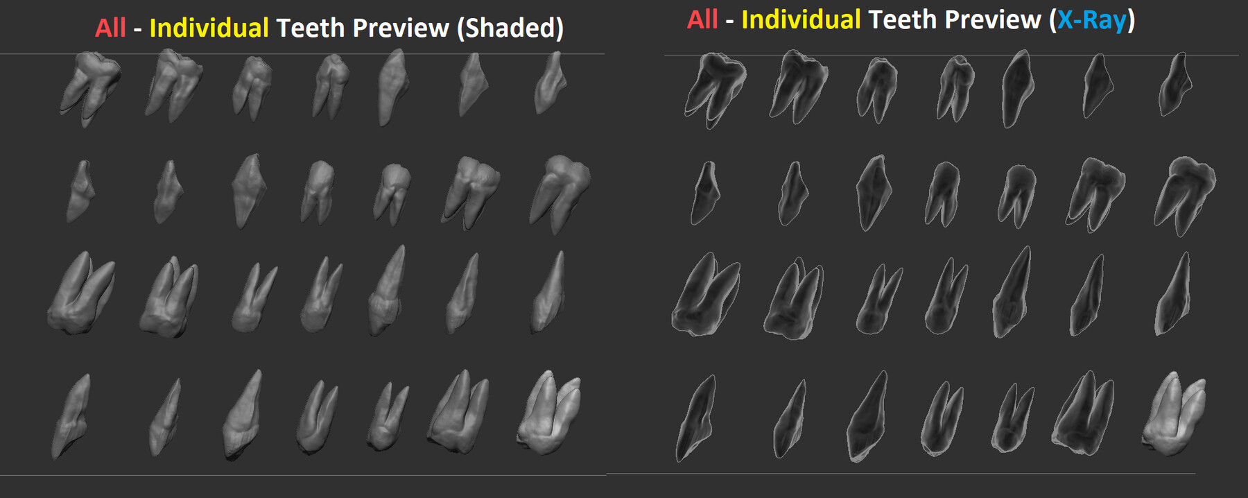 ArtStation - Dentist-Grade Human Teeth Scans - (Young-Adult Male ...