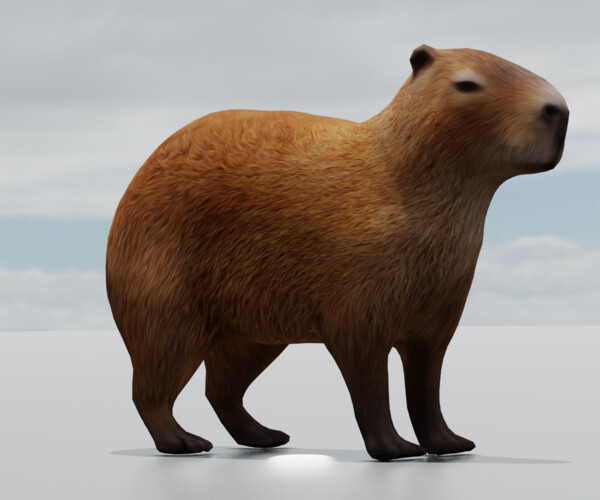 ArtStation - capybara 3d model | Game Assets