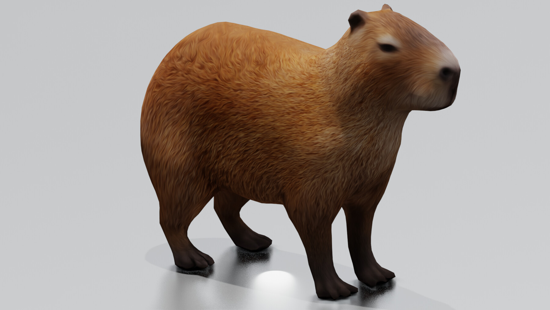 ArtStation - capybara 3d model | Game Assets