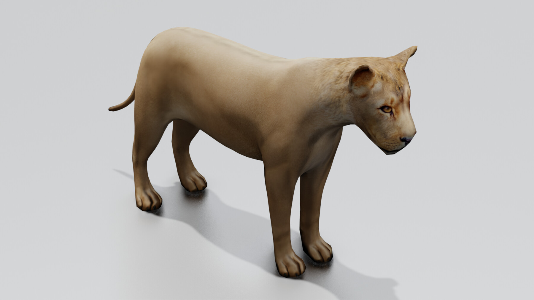 ArtStation - Wild Lioness 3 d model | Game Assets