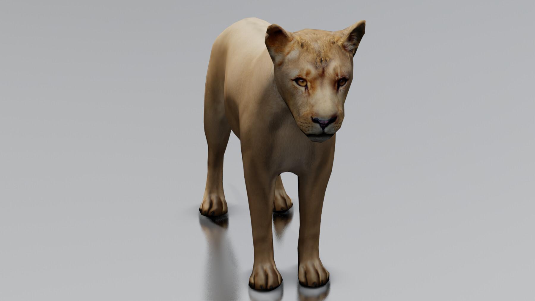 ArtStation - Wild Lioness 3 d model | Game Assets