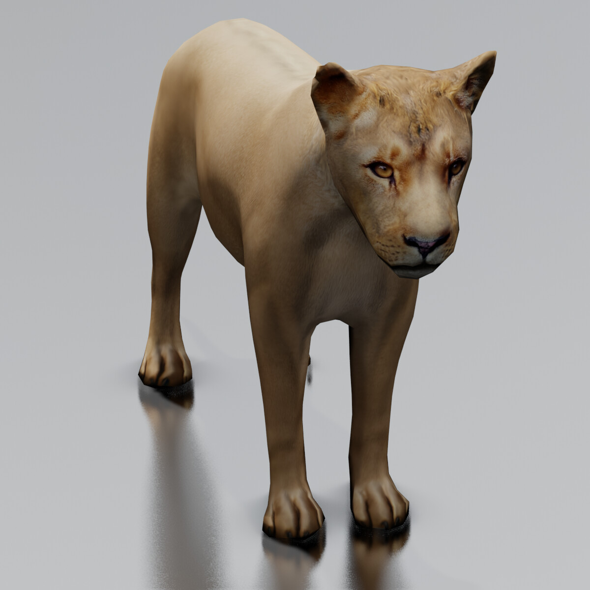 ArtStation - Wild Lioness 3 d model | Game Assets