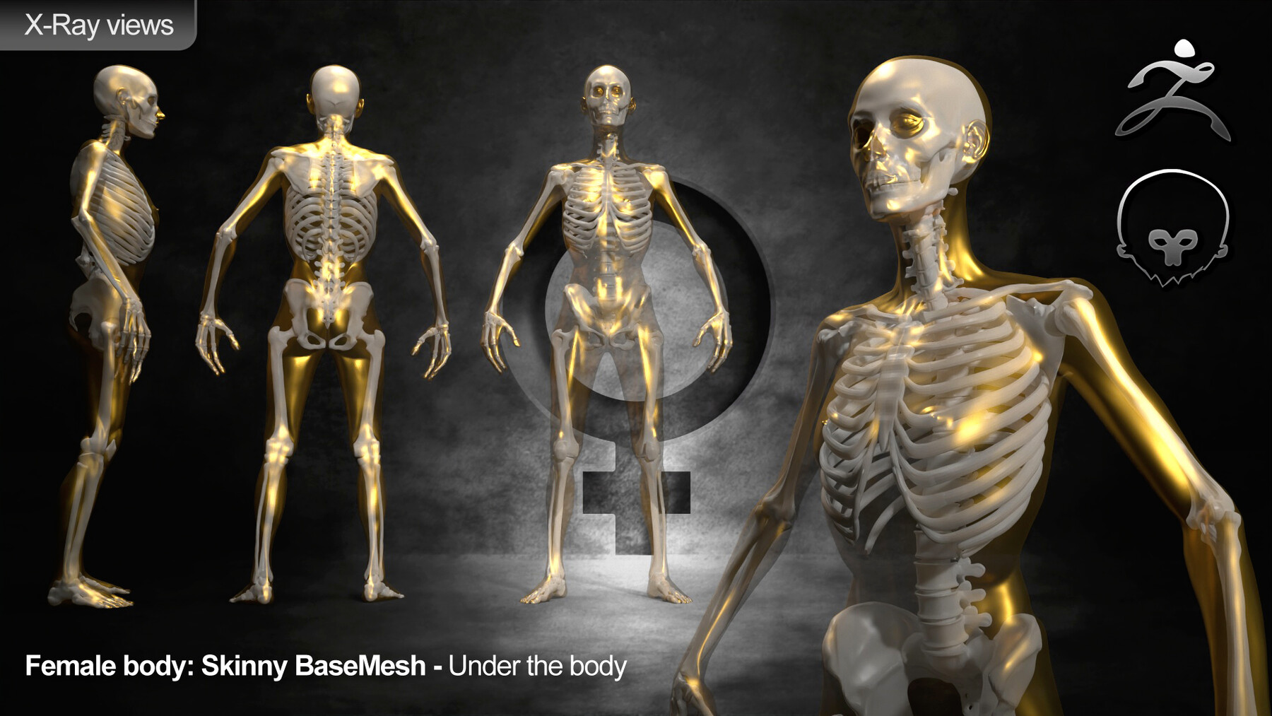 ArtStation - Human Female [ Body/Skin Basemesh ] Skinny | Resources