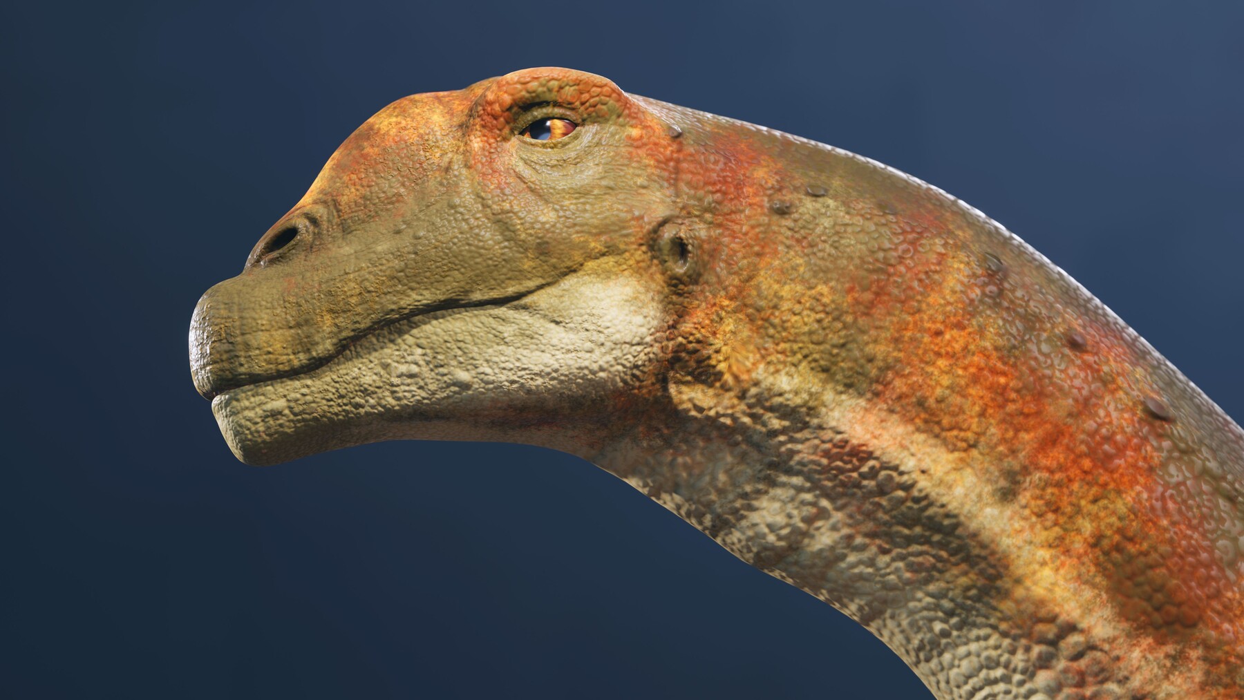 ArtStation - Argentinosaurus Low Poly RIG | Game Assets