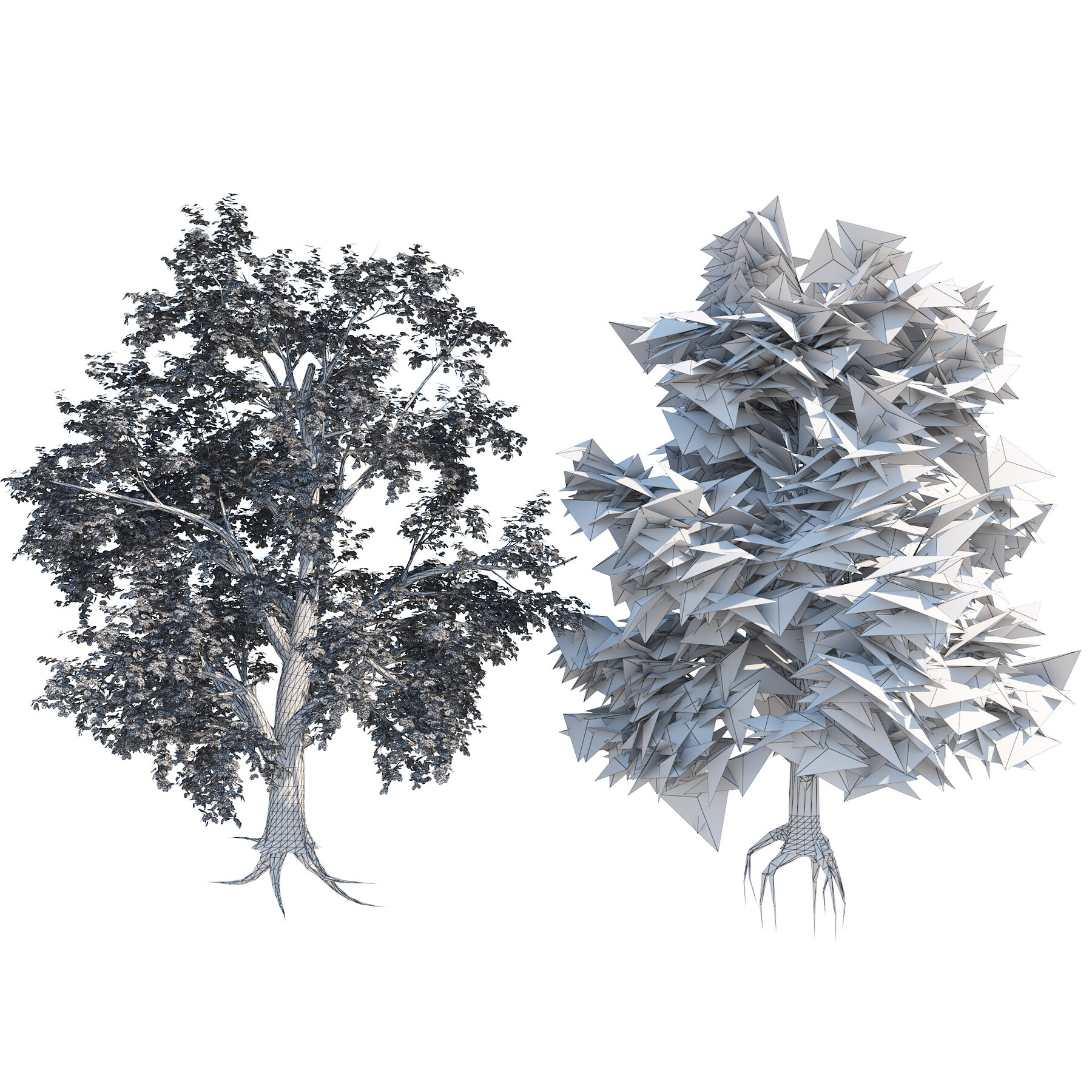 ArtStation - High and Low Poly Broadleaf Trees | Resources