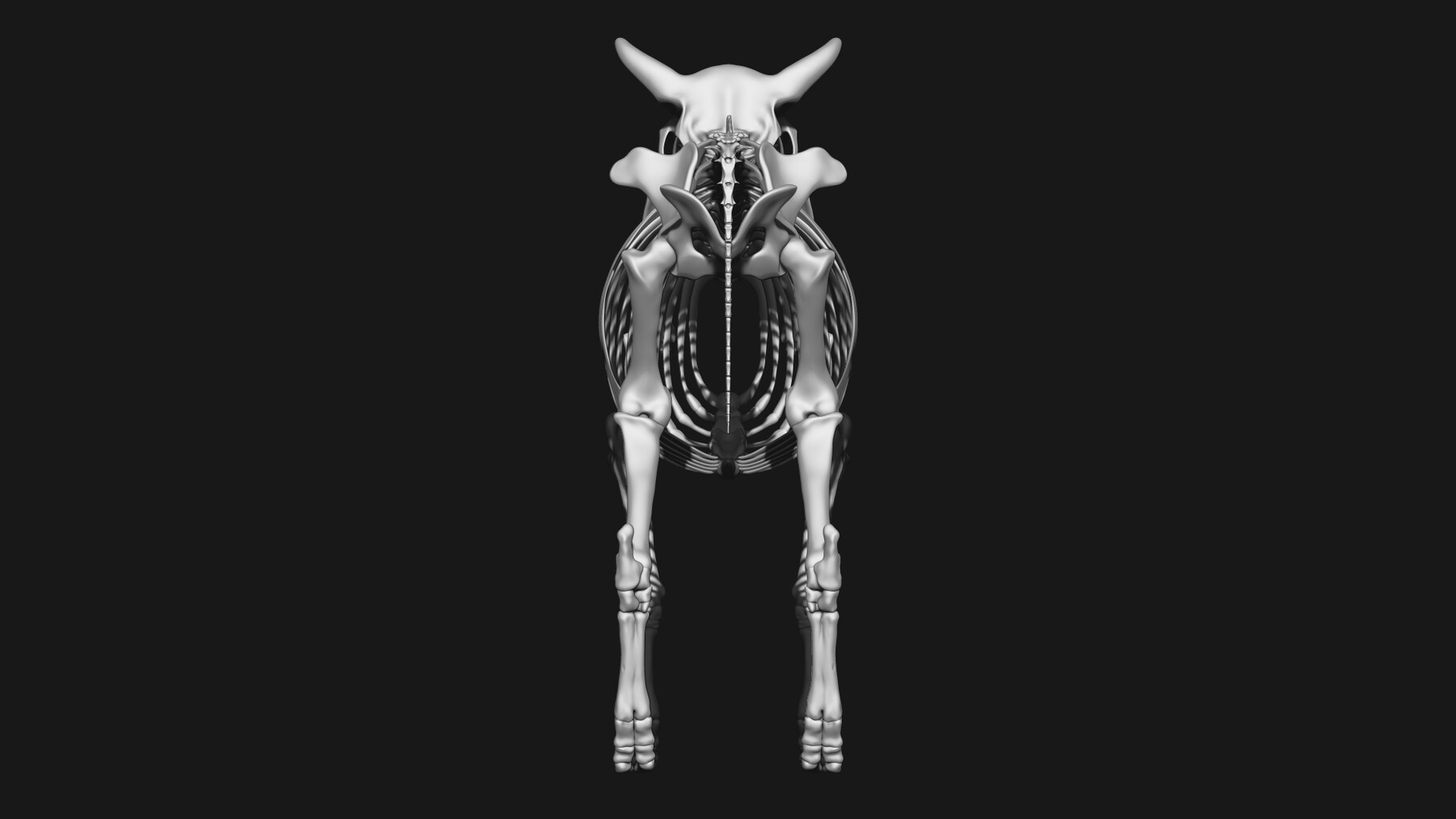 ArtStation - Cow skeleton | Resources