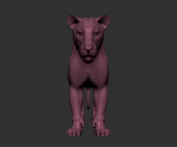 ArtStation - Lion Base Mesh | Resources