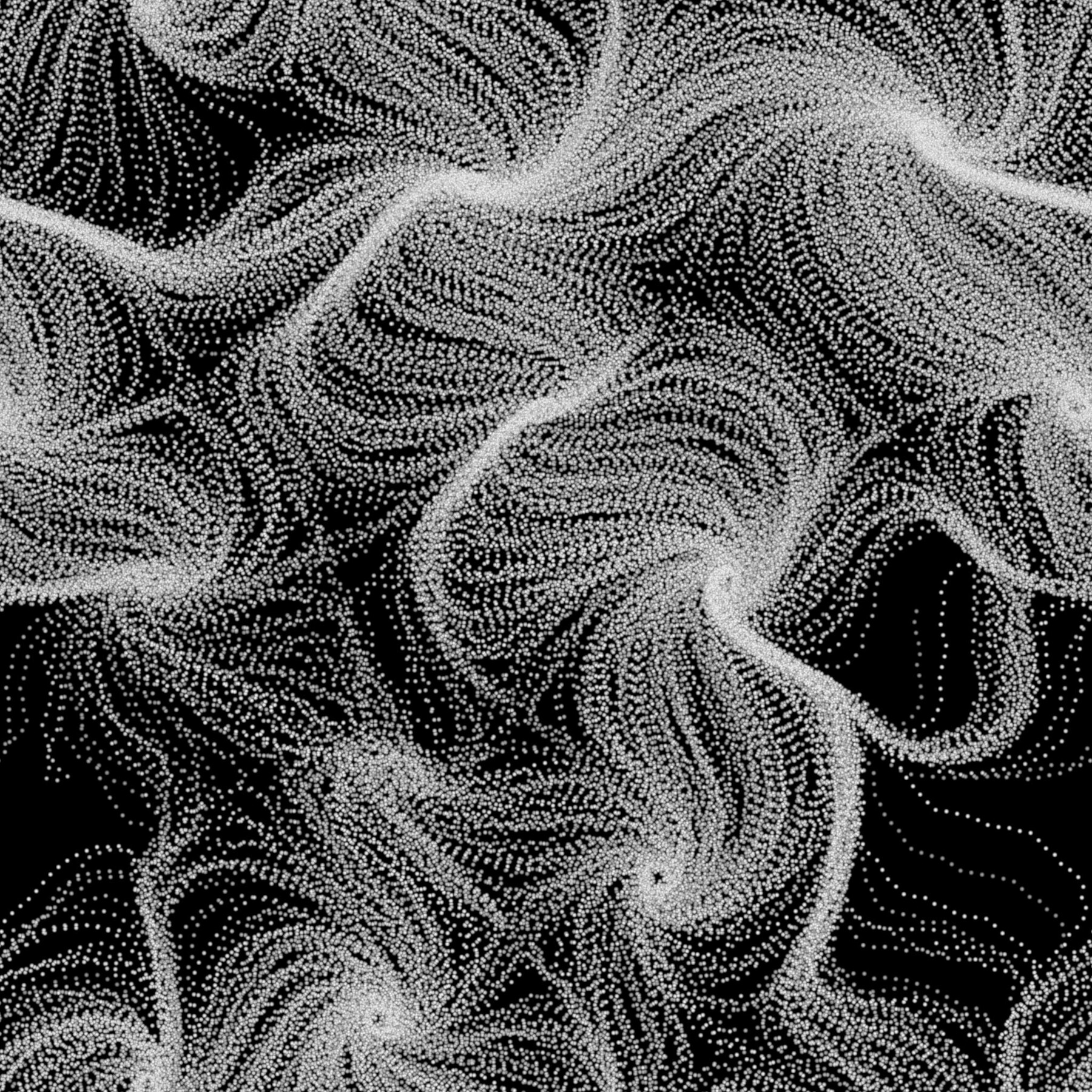 Artstation Substance Designer Fx Map Node Experiments And Searches Resources