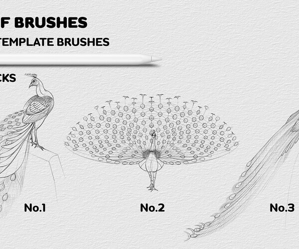 ArtStation - Bird Procreate Brush | 27 Bird Brushes for Procreate | Brushes