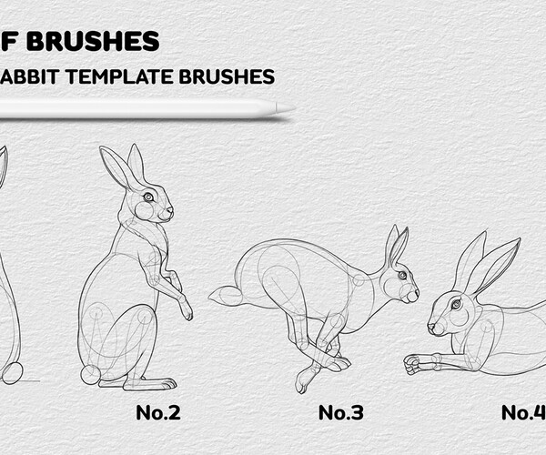 ArtStation - Procreate Wild Rabbit Stamp | 4 Template Procreate Brushes | Brushes