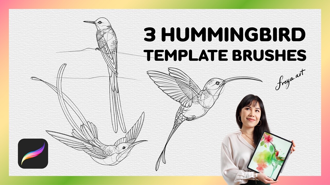 ArtStation - Procreate Hummingbird | 3 Bird Procreate Brushes | Brushes
