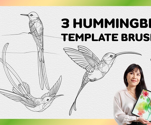 ArtStation - Procreate Hummingbird | 3 Bird Procreate Brushes | Brushes