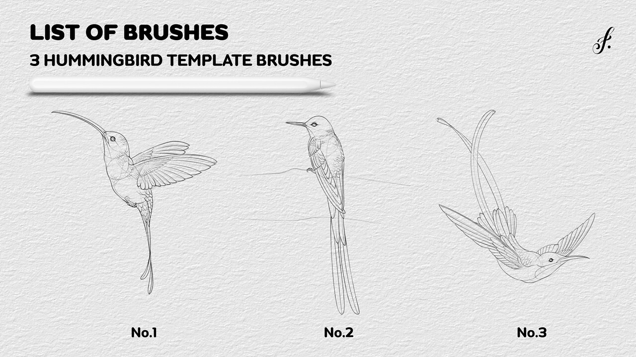 ArtStation - Procreate Hummingbird | 3 Bird Procreate Brushes | Brushes