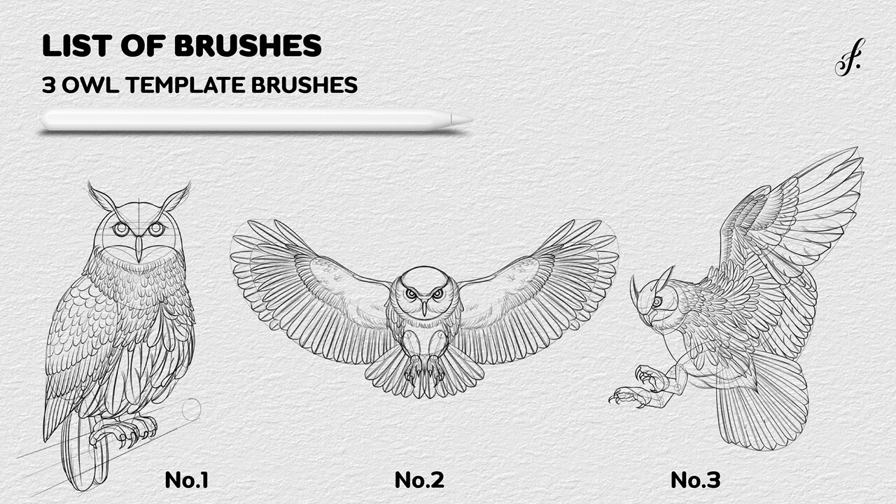 ArtStation - Procreate Owl Stamp | 3 Template Procreate Brushes | Brushes
