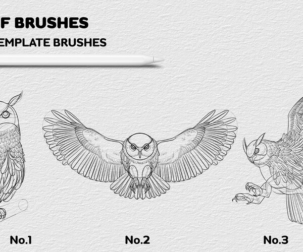 ArtStation - Procreate Owl Stamp | 3 Template Procreate Brushes | Brushes