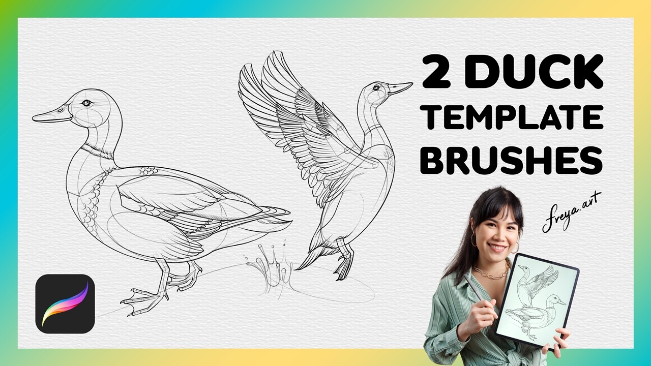 ArtStation - Procreate Duck Stamp | 2 Template Procreate Brushes | Brushes