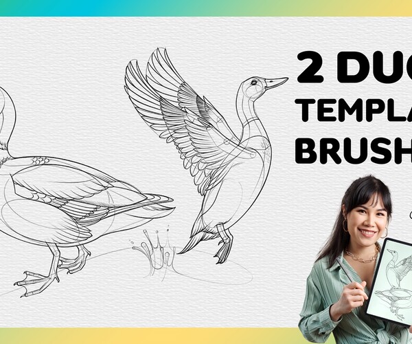 ArtStation - Procreate Duck Stamp | 2 Template Procreate Brushes | Brushes