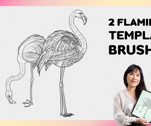 ArtStation - Procreate Flamingo Stamp | 2 Template Procreate Brushes | Brushes
