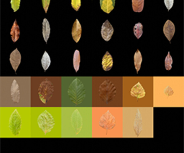 ArtStation - 32x British Forest Leaves | Resources