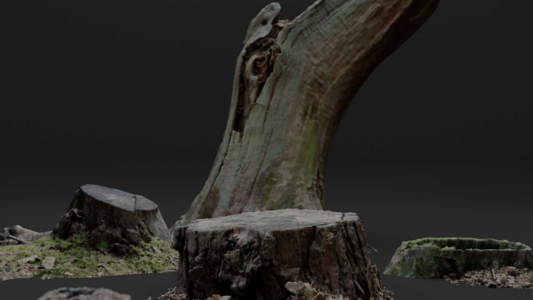 ArtStation - 7x British Forest Tree Stumps | Resources
