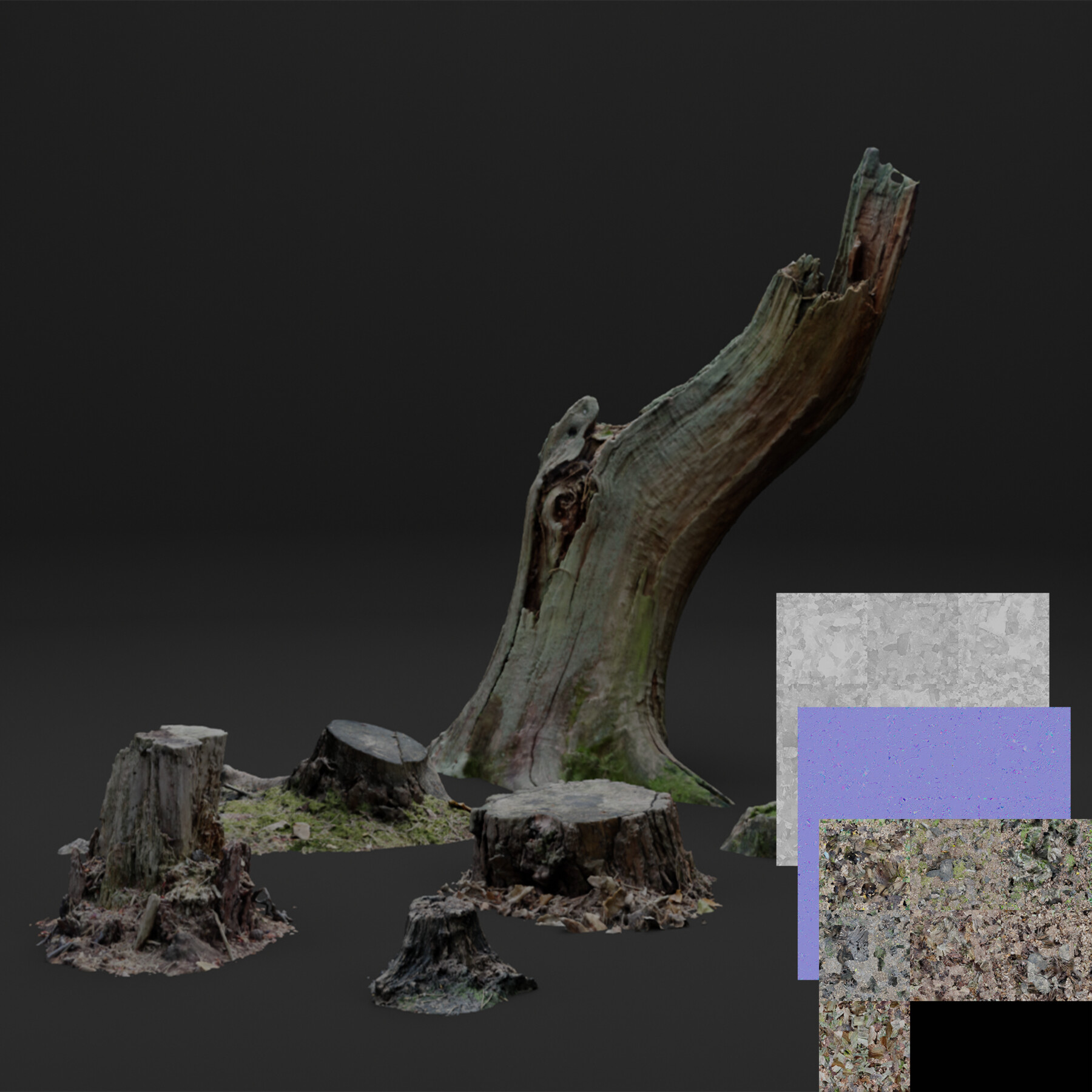 ArtStation - 7x British Forest Tree Stumps | Resources