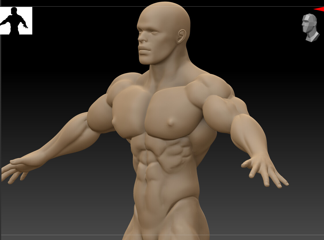 ArtStation - Male Bodybuilder 3D model with Briefs and Genitals | Resources