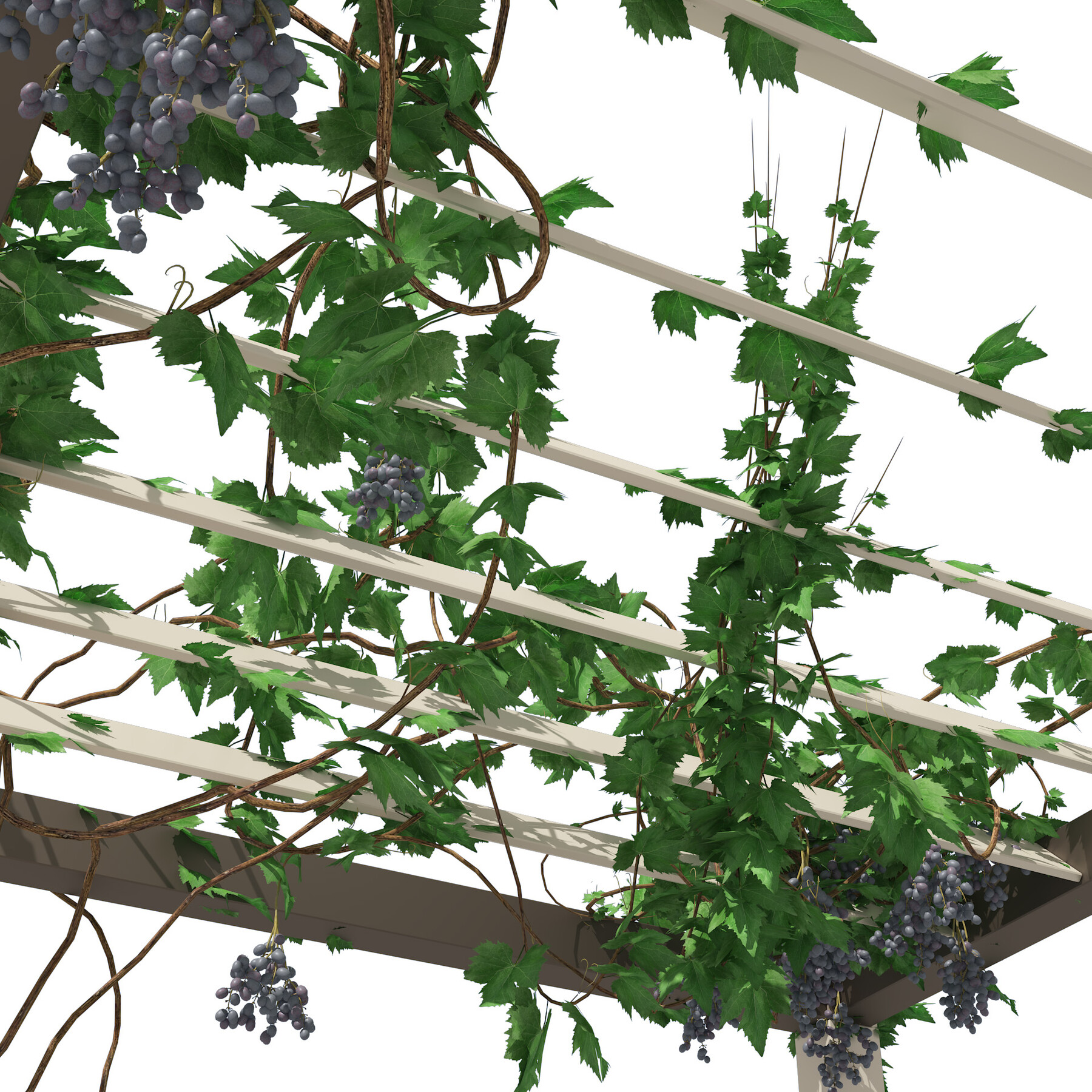 ArtStation - canopy with climber plant and furniture 3d model | Resources