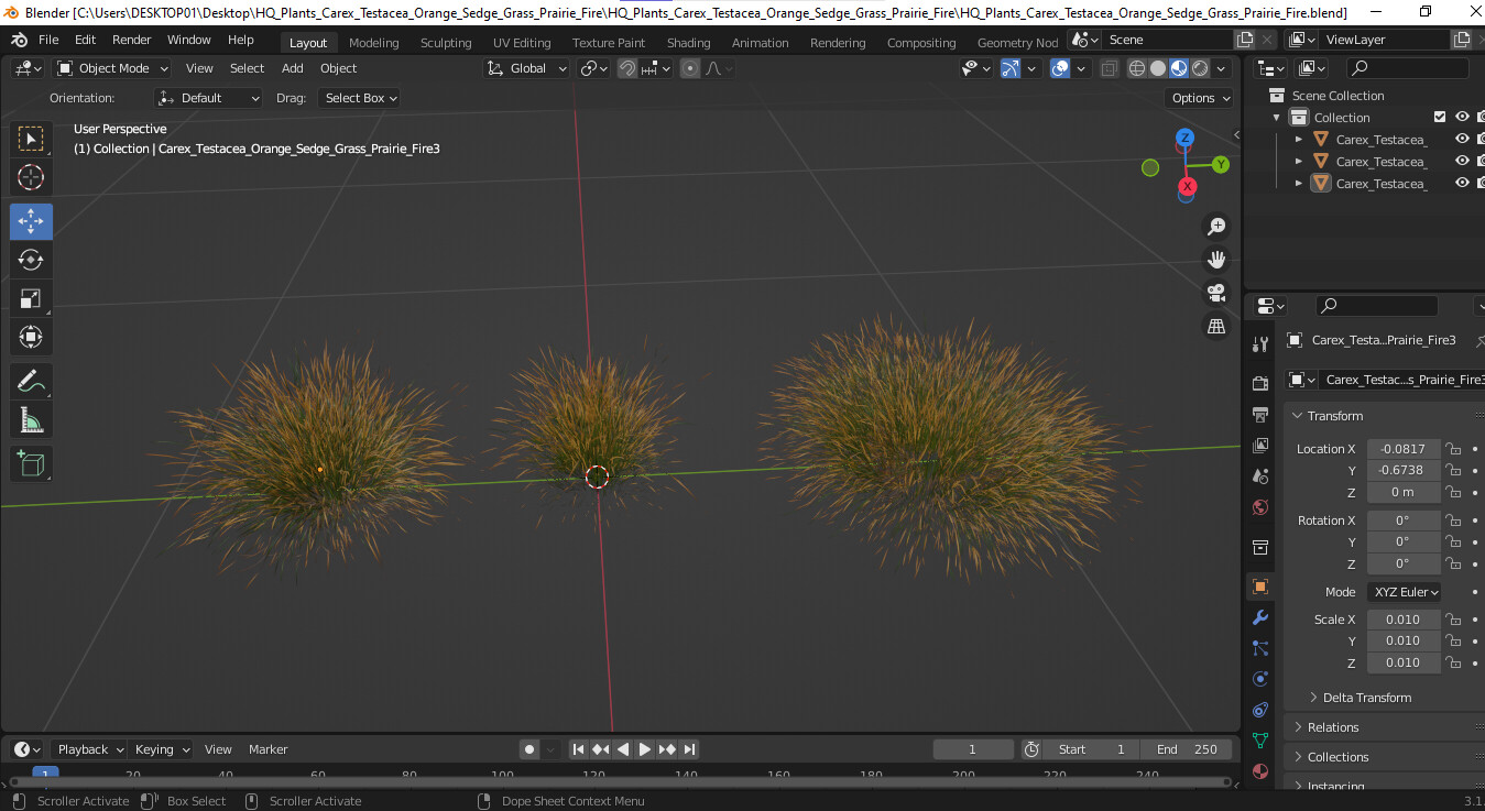 ArtStation - Plants Carex Testacea Orange Sedge Grass Prairie Fire ...