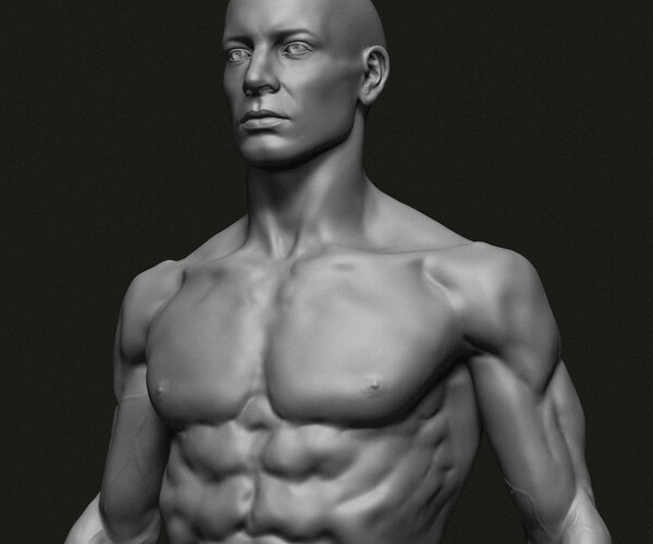 ArtStation - Male anatomy study | Resources