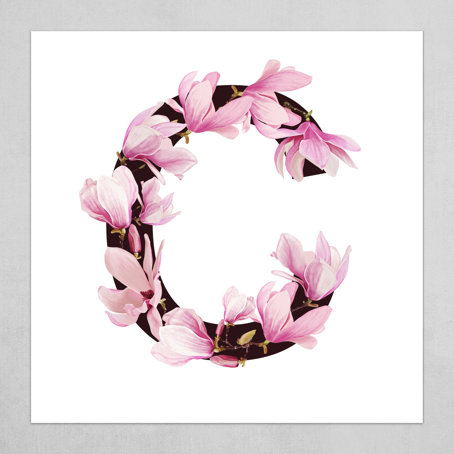 Enis Bayraktar - Magnolia Letter " c