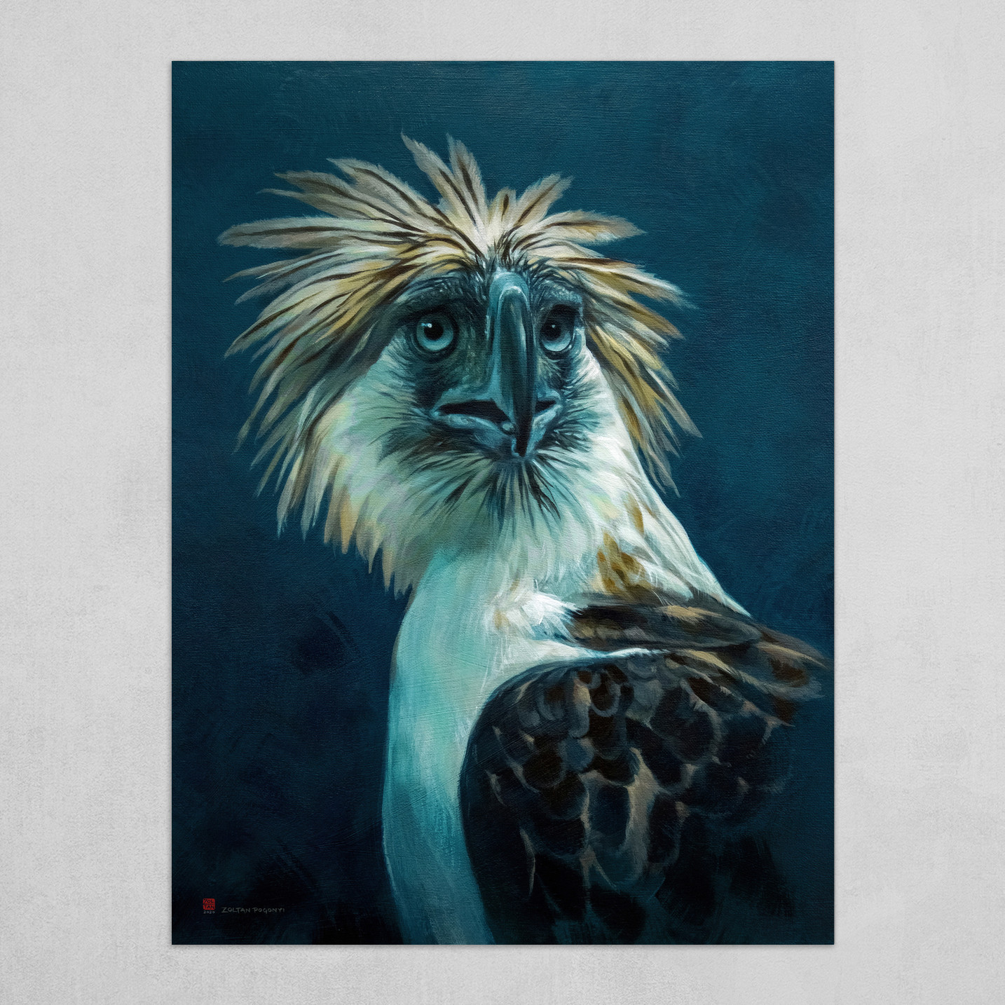 philippine eagle drawing front view