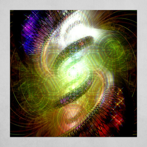 Caduceus by Timothy Agave douglas