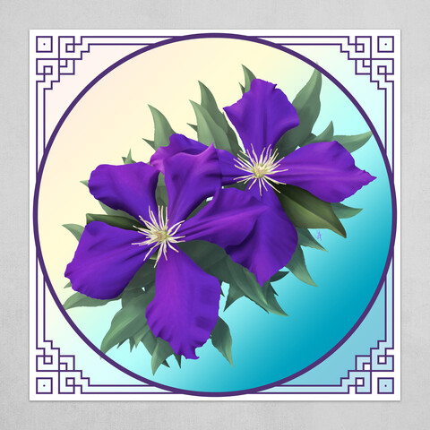 Purple Clematis - with Border by Spennig Aisling
