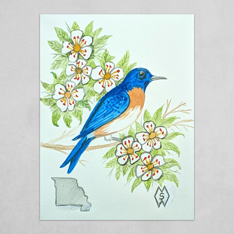 Missouri state bird & flower, the eastern bluebird & hawthorn by Matt Starr