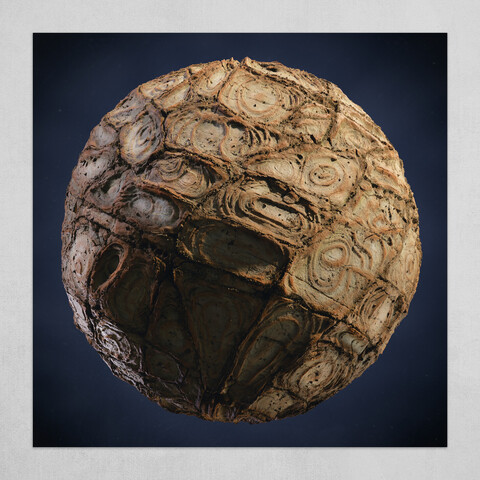 Rocky Surface Material Sphere- Substance Designer ZBrush by Angel Fernandes